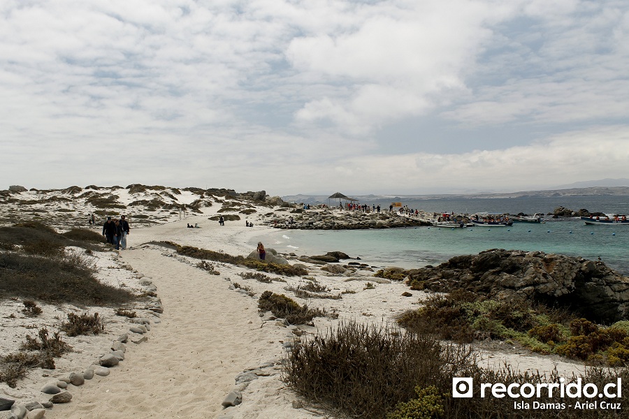 Isla Damas La Serena | Como llegar, tours, tarifas & horarios
