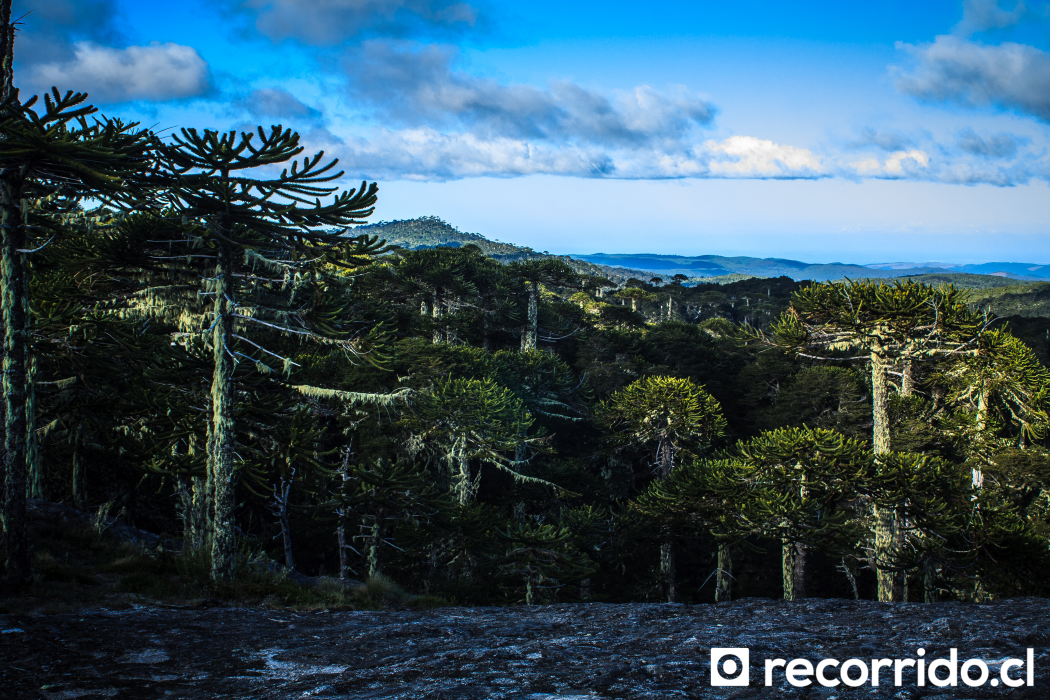10 Parques Nacionales imperdibles en Chile | Recorrido.cl
