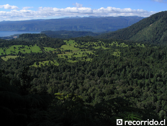 10 Parques Nacionales imperdibles en Chile | Recorrido.cl