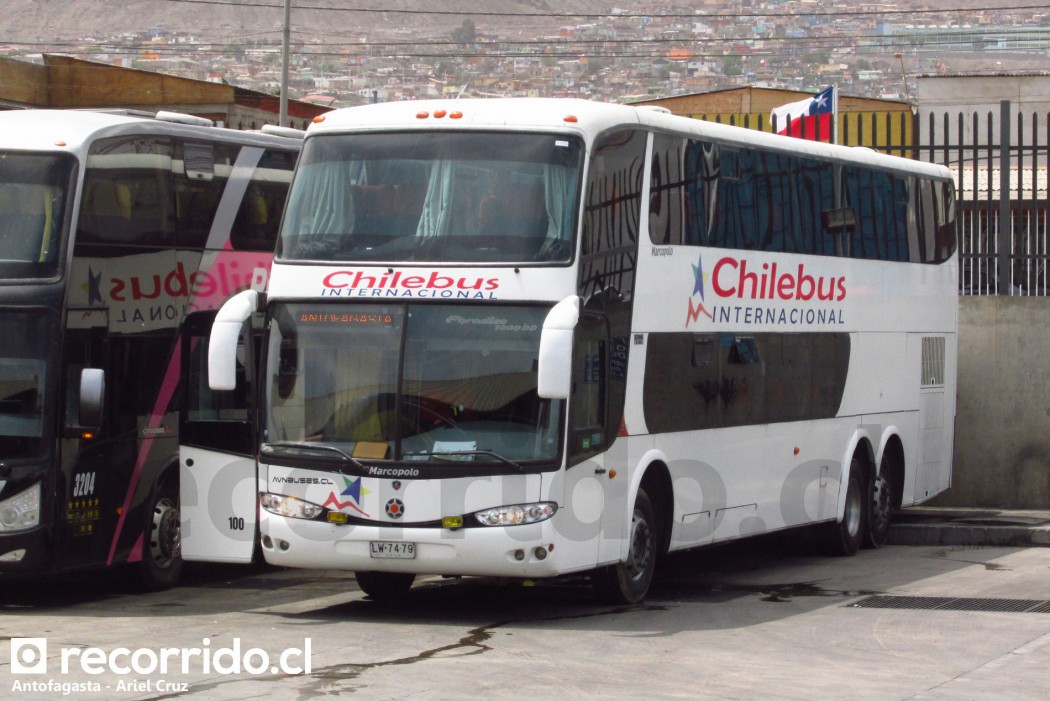 Buses Premium en Chile: ¿qué rutas hacen? - Recorrido.cl - Blog