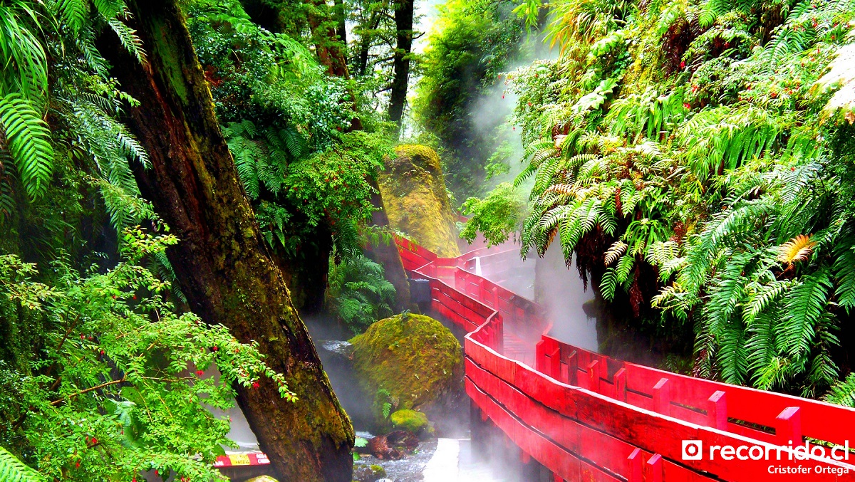 Termas Geométricas en el Sur de Chile: ¡lo que necesitas saber ...
