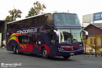 Condor Bus | Pasajes, horarios y contactos
