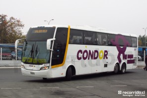 Condor Bus | Pasajes, horarios y contactos