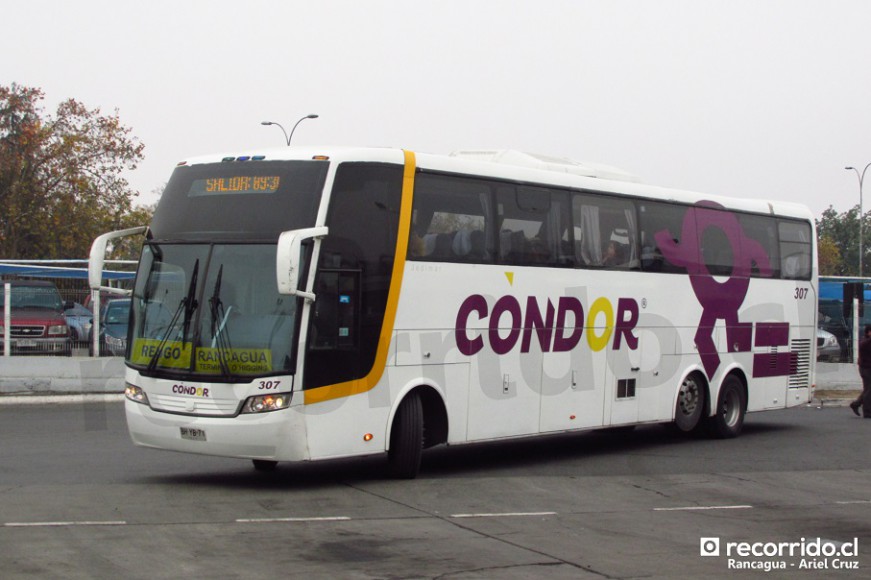 Condor Bus | Pasajes, horarios y contactos
