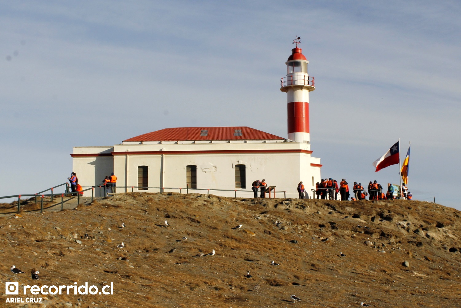 Isla Magdalena: un imperdible de Punta Arenas - Recorrido.cl - Blog